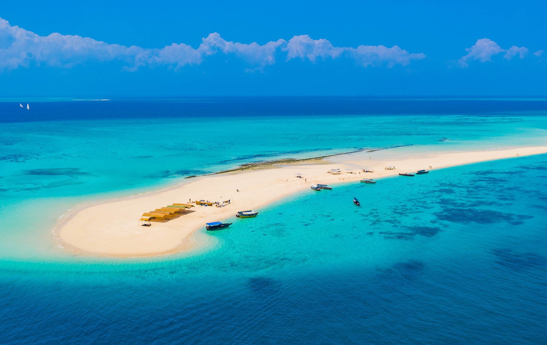 Volunteer in Zanzibar - Volunteer Overseas with IVI Volunteers